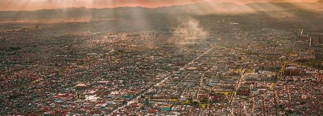 El ser humano como ser bio-cultural